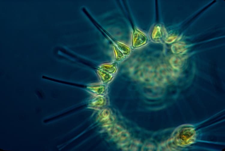 3本は鳥の、2本は蝶のために――積水ハウス「5本の樹」計画の生物多様性回復効果の可視化進む｜サステナブル・ブランド ジャパン